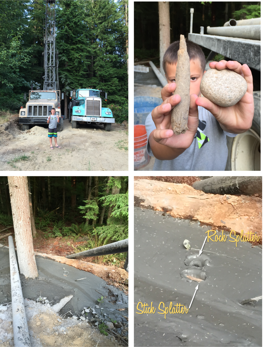 Cameron Test | Coastal Hues